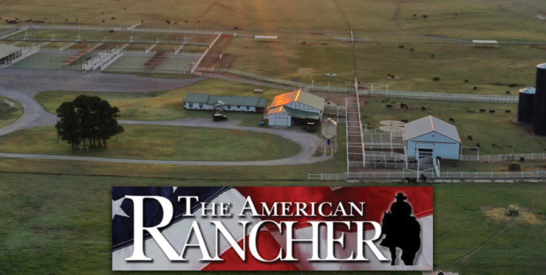 About Our Sale - Sadler Ranches