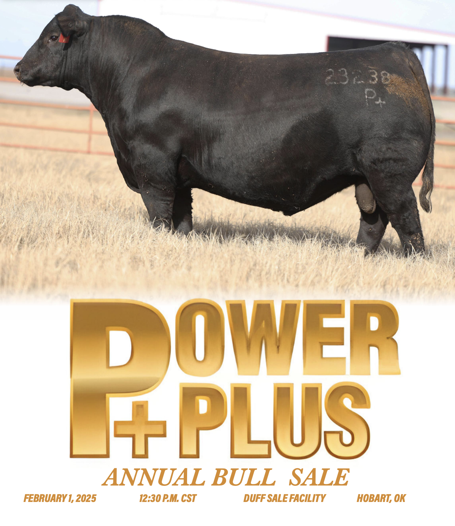 Home - Sadler Ranches