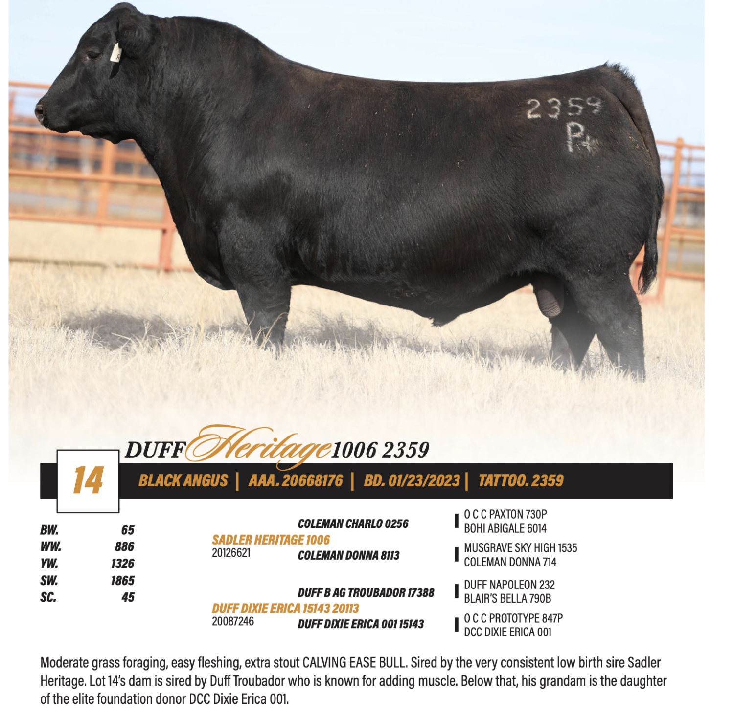 Home - Sadler Ranches